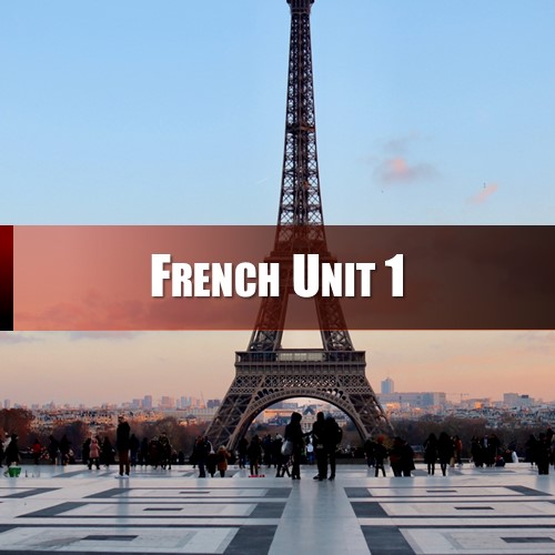 French Unit 1-Aneisha Ramjit-AY24-T3-Lower 6L | SLMS